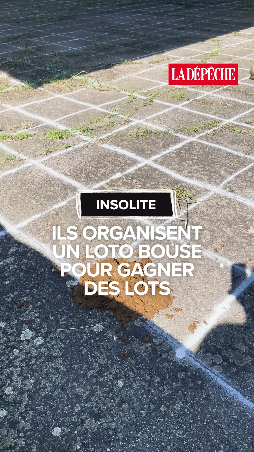 Rose hart taboo contacted her at the last moment and she