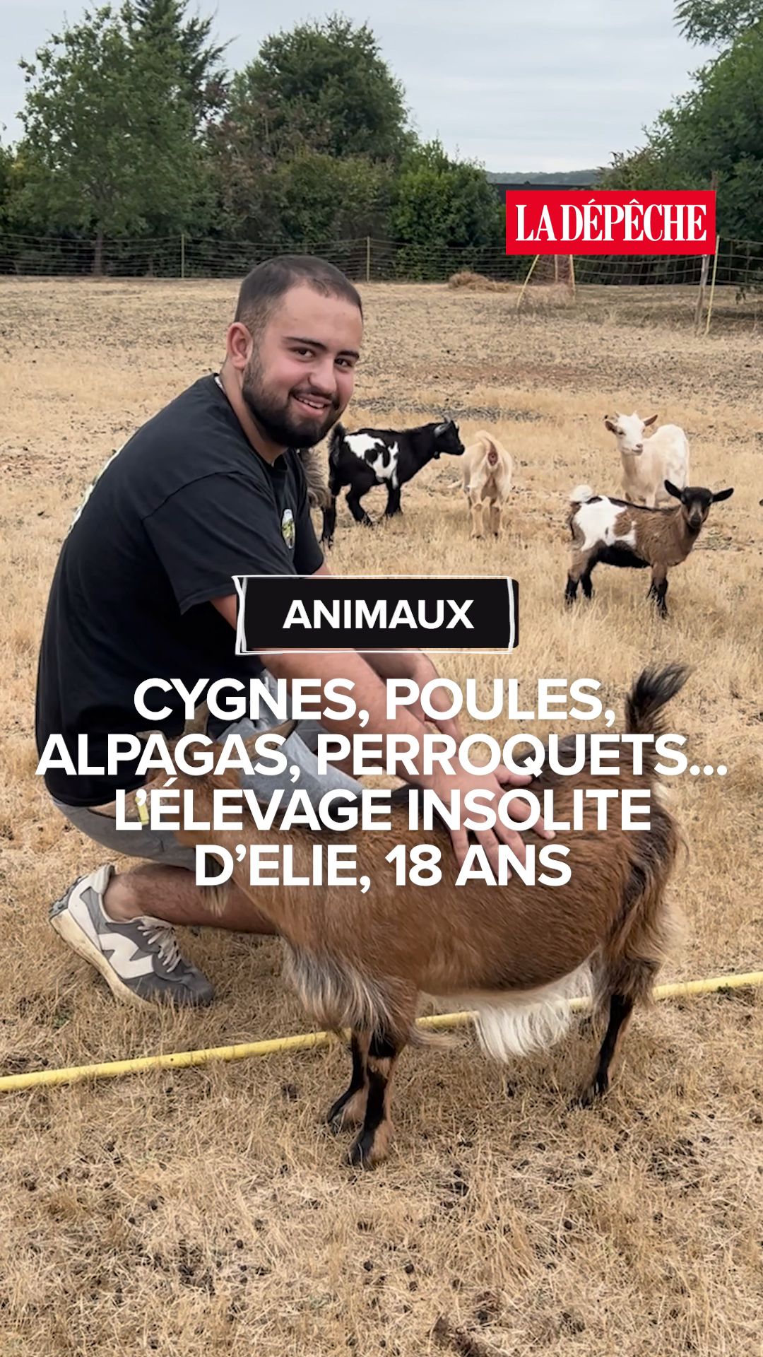 INSOLITE. Neuf containers maritimes débarquent dans ce village du Lot : ils vont être ...