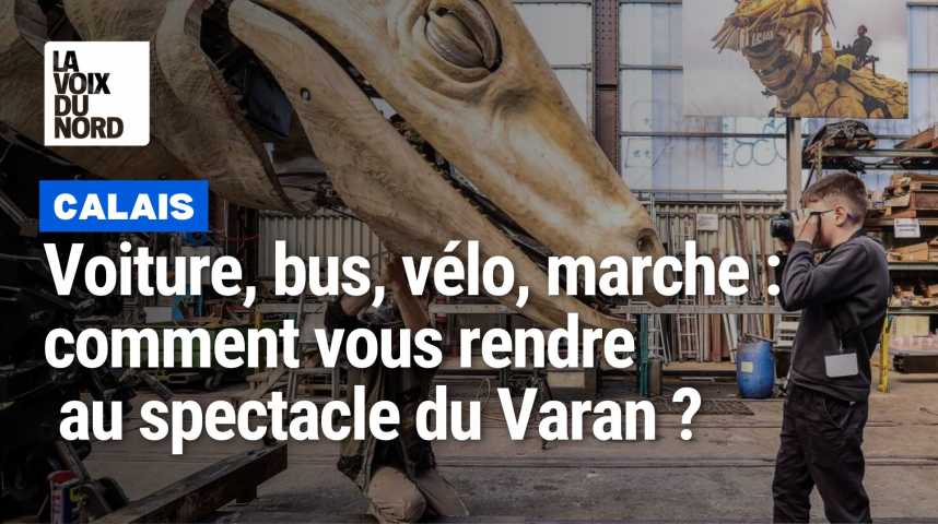 Calais: comment se rendre au spectacle du Varan - La Voix du Nord Vidéos