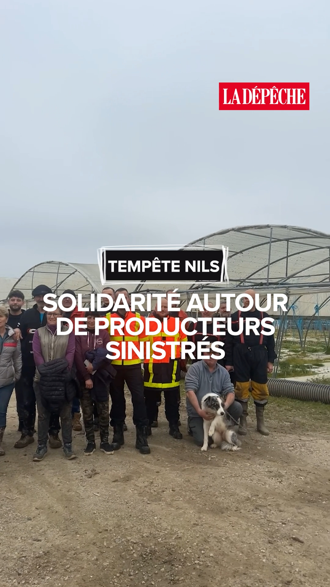 "Dès qu’on peut proposer du local, ça part très vite..." : un début de ...