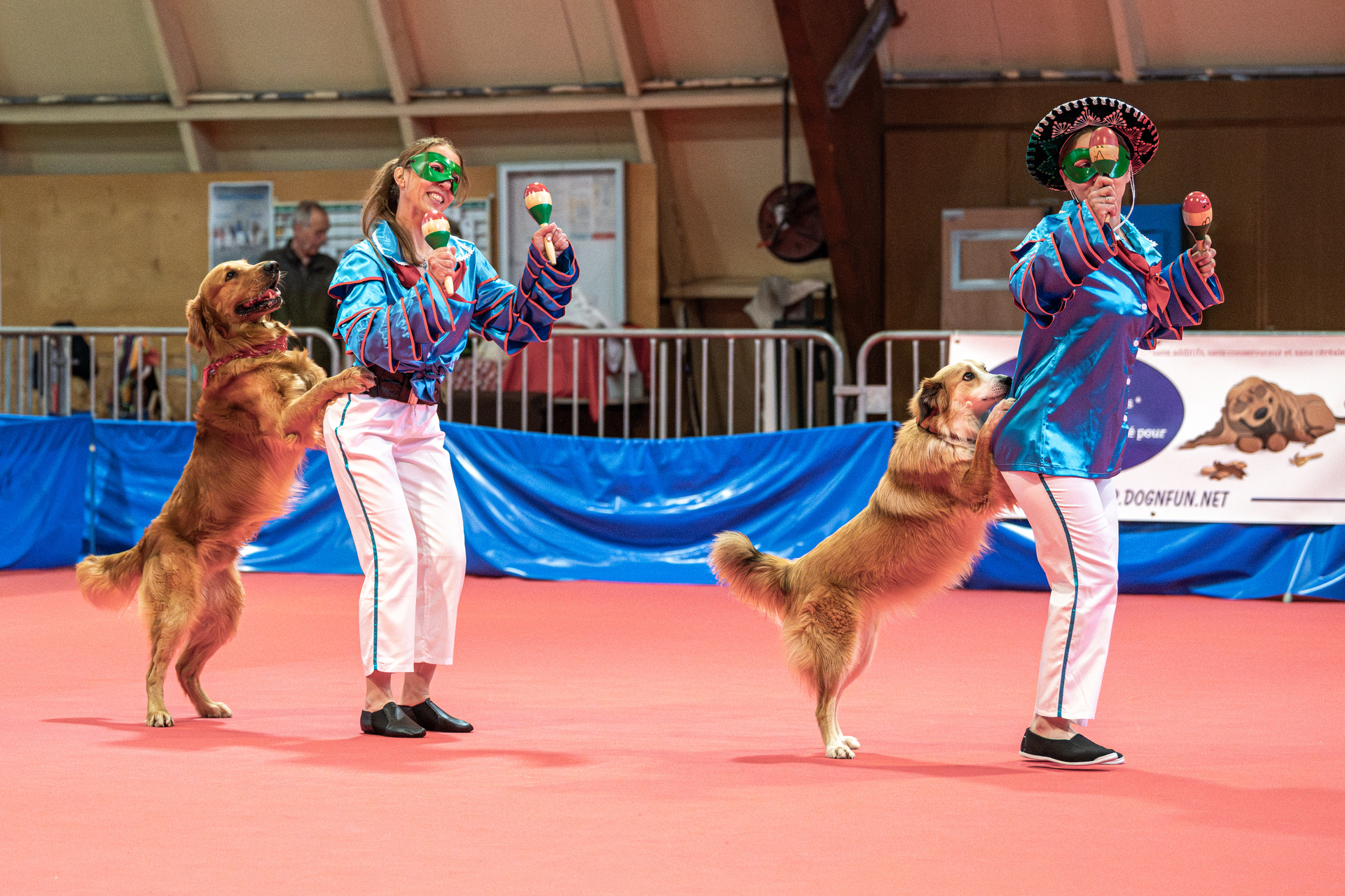 De concurrentes à amies, elles pratiquent le dog dancing ensemble ...