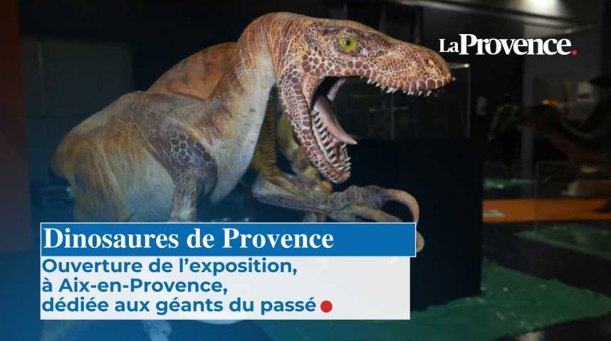 Une exposition inédite sur les dinosaures pose ses valises à la ...
