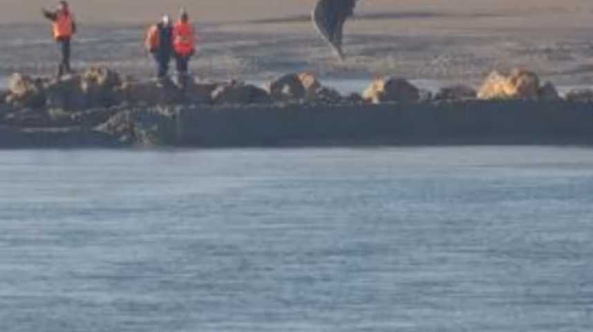 Vidéos : Picardie Nature attend la justice sur le chantier en baie d ...
