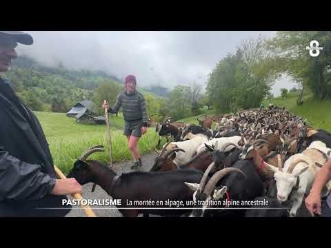 "Une culture des gens de ces montagnes, qui ont conservé des valeurs de ...