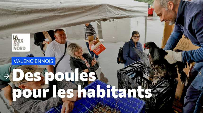 Des poules distribuées aux habitants à Douchy-les-Mines - La Voix du ...