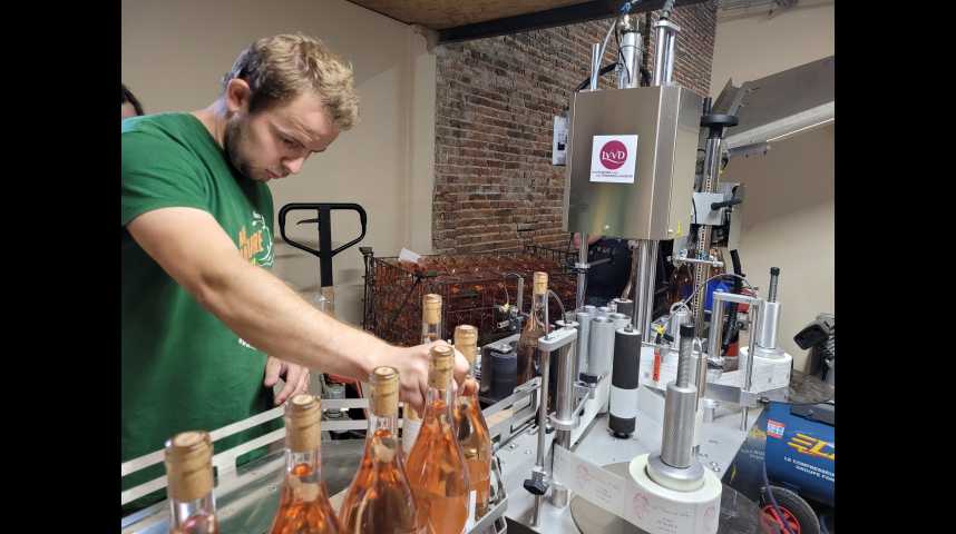 Vidéos : Le vin 100 % oisien de Roy-Boissy va enfin arriver - Courrier ...